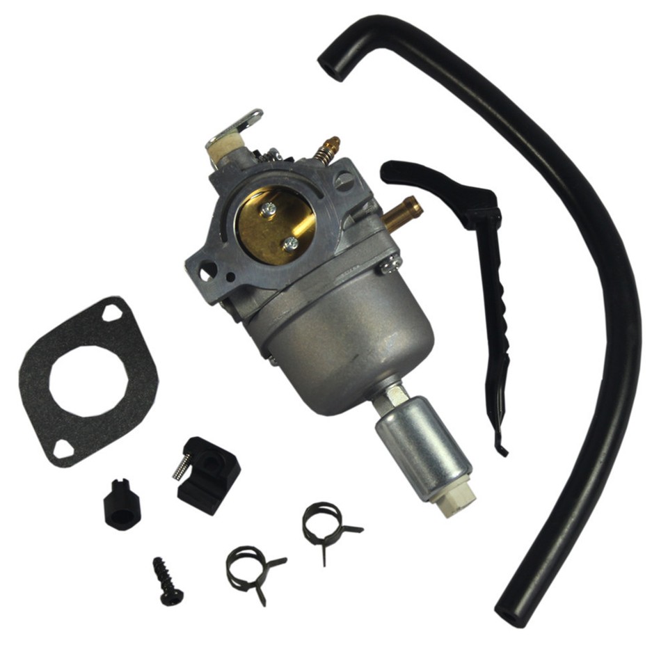 CARBURETOR CARB 287707 287776 287777 310707 310777 For BS Motors | eBay