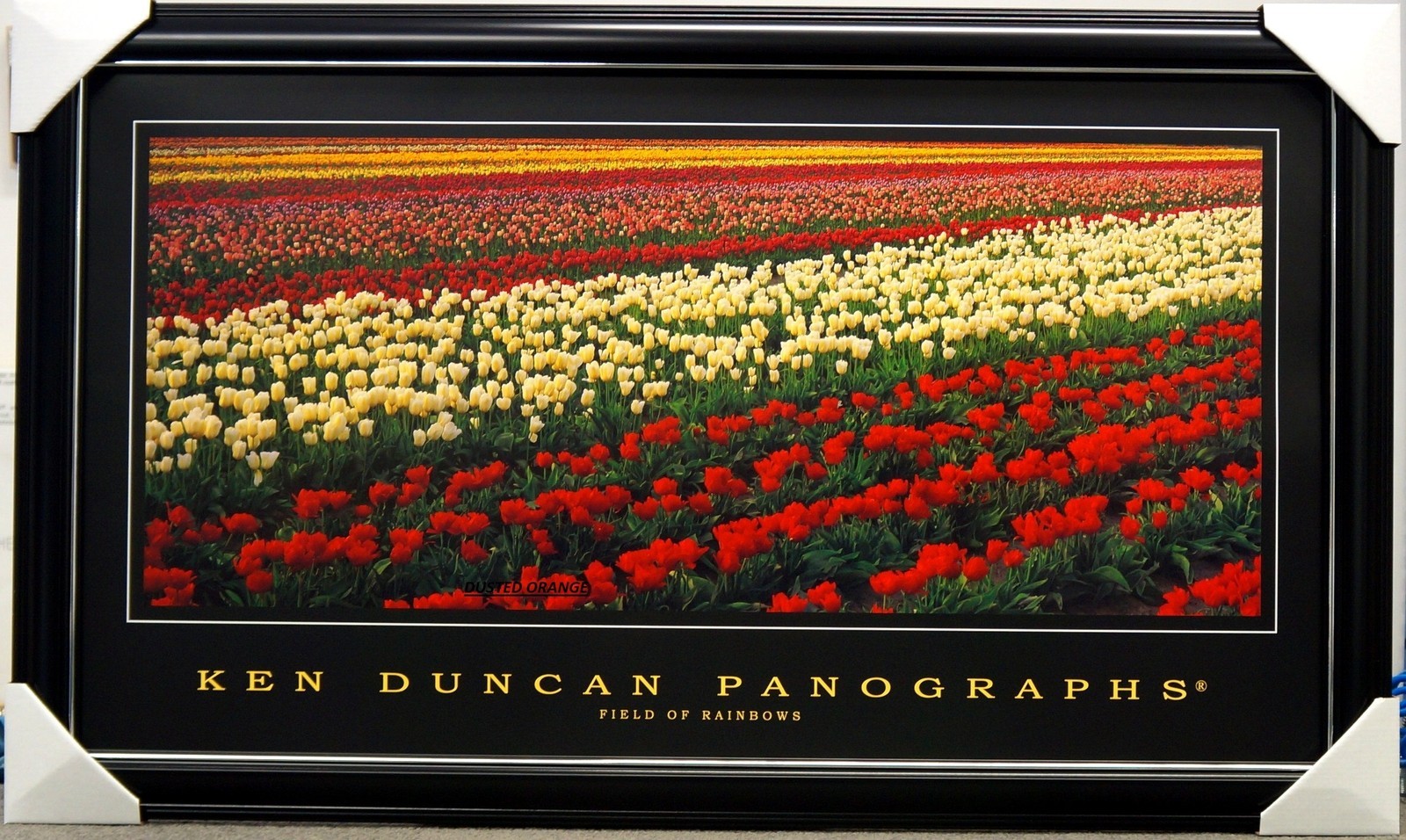 KEN DUNCAN LANDSCAPE PANOGRAPH FIELD OF RAINBOWS PRINT FRAMED | eBay