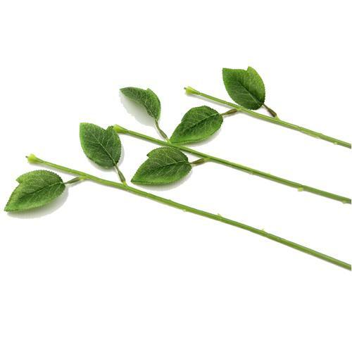 Florist Flower Plastic Wire Rose Stems with LEAVES 2mm Dark Green x 10 ...