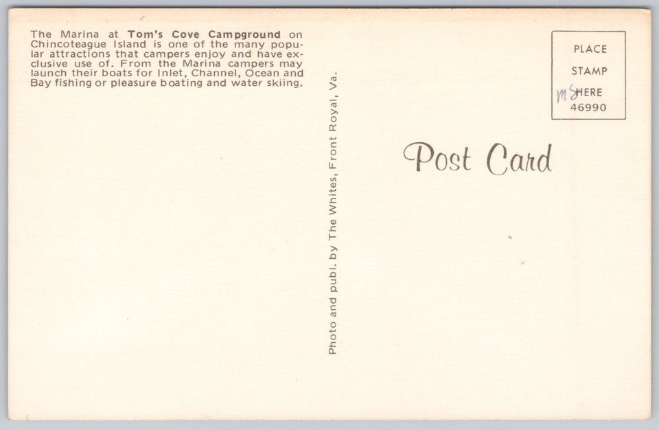 Chincoteague Island Virginia Postcard Marina at Tom's Cove Campground | eBay