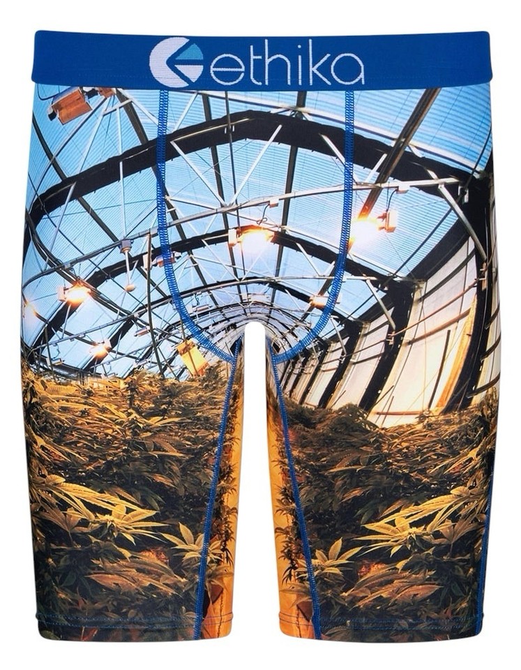 Ethika Grow House Men’s Size S (28-30) Underwear BoxerBriefs | eBay