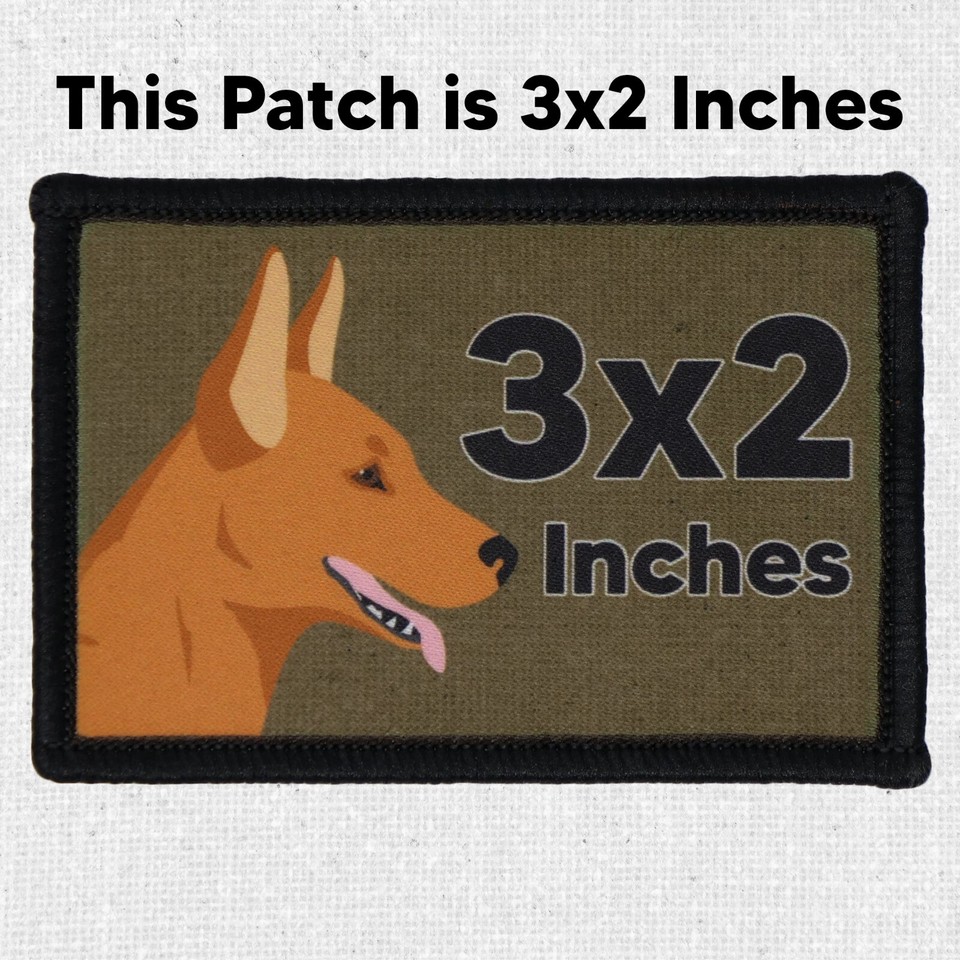 DOGE Patch Elon Musk Government Moral Tactical Military Army USA Hook ...