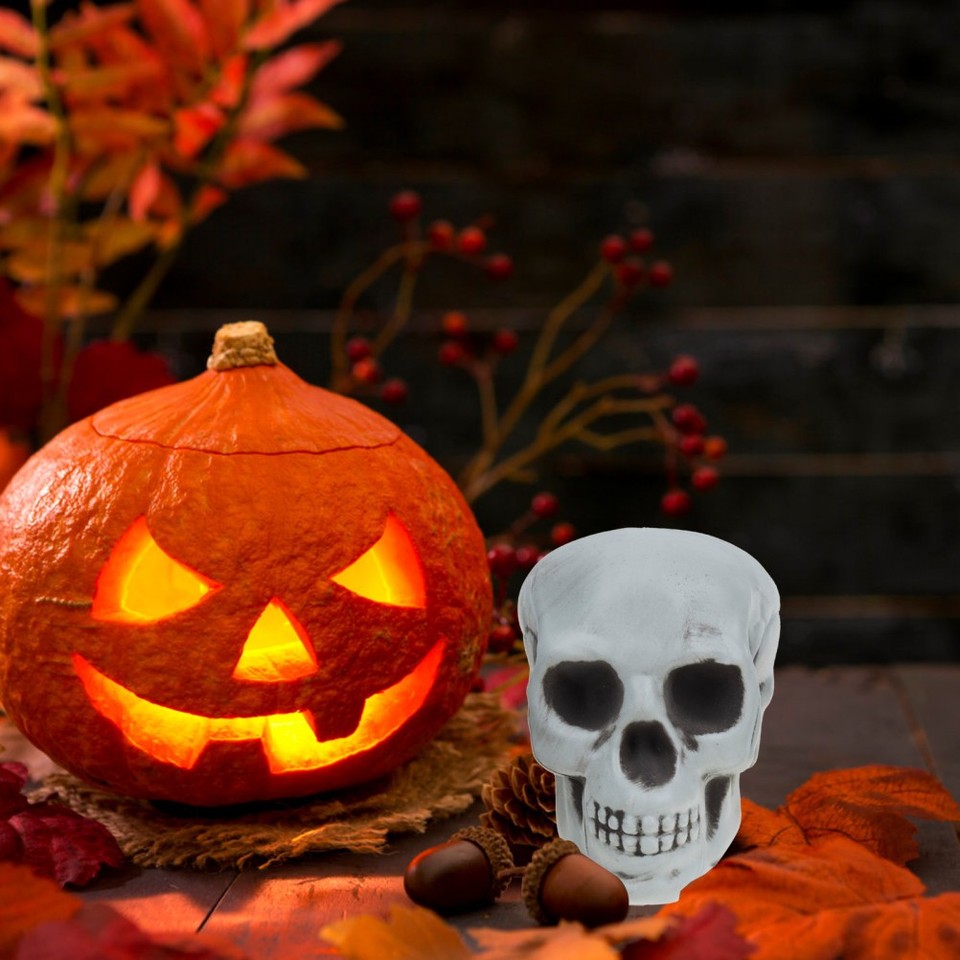 8 Pcs Human Skeleton Skull Head Models Plastic Halloween Party ...