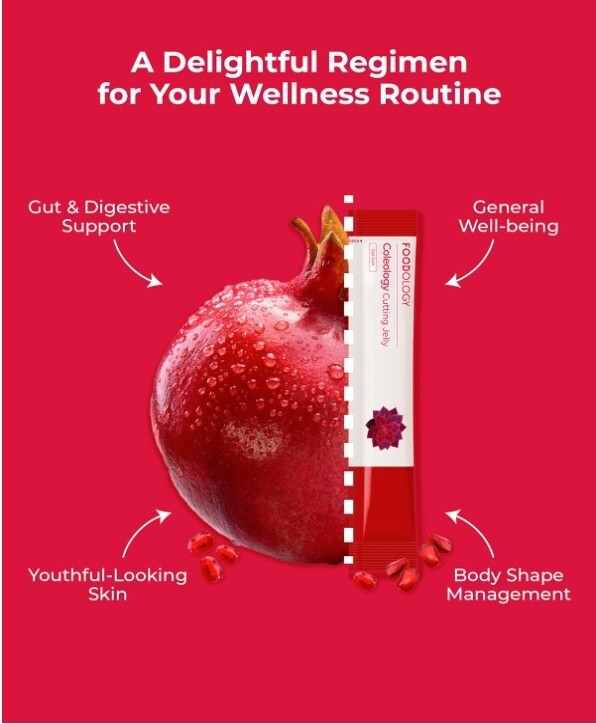 FOODOLOGY Coleology Cutting Jelly 25g 10 Sticks Healthy Weight Loss ...