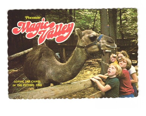 Poconos Magic Valley in Winona Five Falls vintage postcard unposted ...