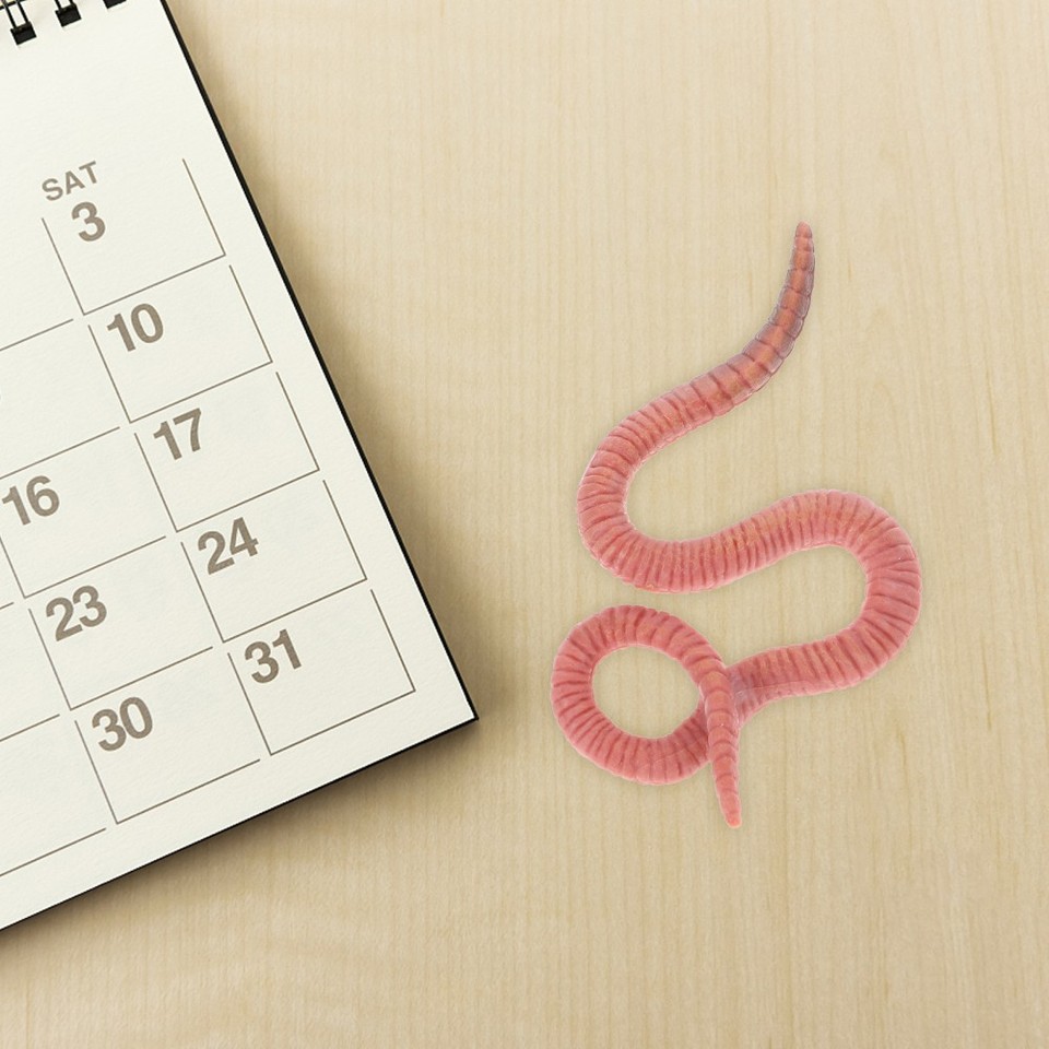 Realistic Earthworm Model Fake Earthworm Toy Model Lifelike Earthworm ...