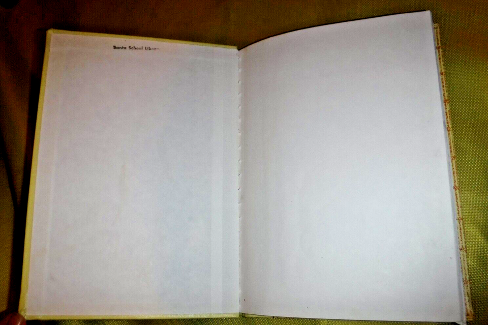 SAM BANGS & MOONSHINE BY EVALINE NESS VINTAGE 1966 BOOK | eBay