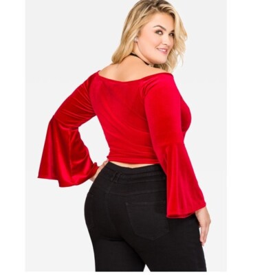 Ashley Stewart red velvet crop top size 18/20 | eBay