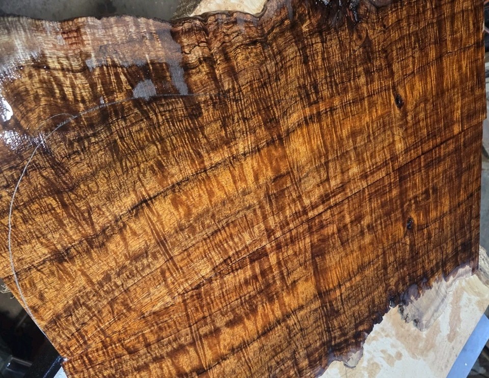 Curly Koa Wood guitar top wood or bass figured wood for luthier | eBay