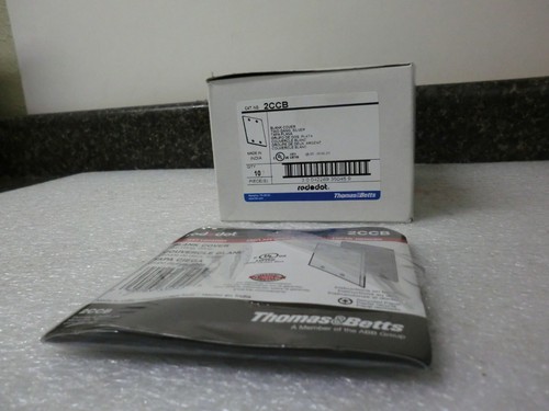 Qty Lot (10) Thomas & Betts Red Dot 2CCB 2 Gang Blank Cover - Silver | eBay