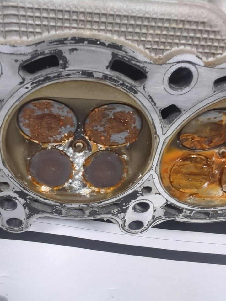 Arctic Cat Wildcat XX Complete Cylinder Head part# 3021-861 | eBay