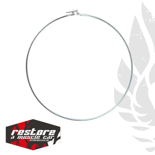 1976-1979 Pontiac Firebird Trans Am SHAKER SCOOP RETAINER RING | eBay