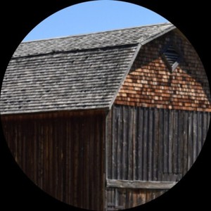 The Ed Shed | eBay Stores