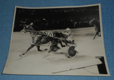 June 14 1975 Harness Racing Press Photo Horse Nero Yonkers Monticello ...