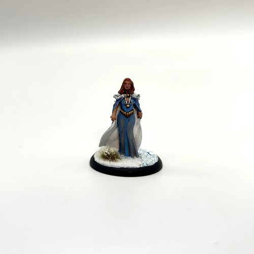 Pro Painted Miniature: Female Wizard, Druid, Sorcerer - PATHFINDER, DND ...