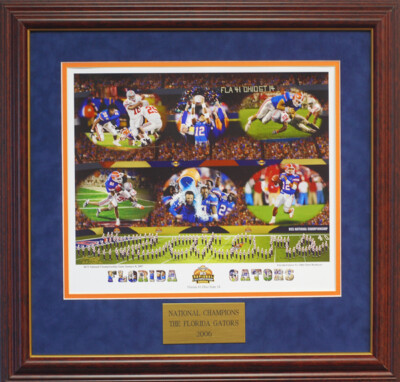 FLORIDA GATORS FOOTBALL 2007 NATIONAL CHAMPIONSHIP FRAMED PITTS LIMITED ...