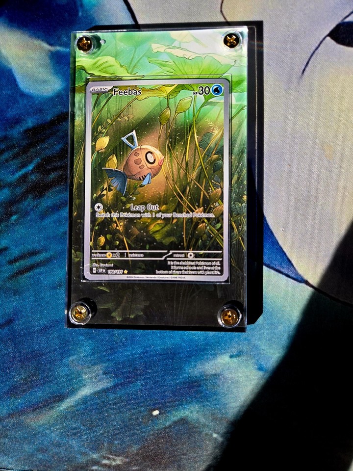 x2 Milotic EX Feebas 237/191 198/191 IR Custom Display Case from ...