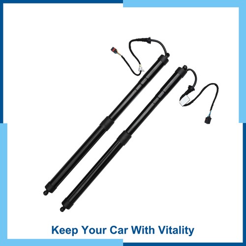 Pack of (2) Rear Lift Gate Struts with Power Liftgate for Volkswagen ...