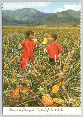 Postcard Field Ripe Pineapple Honolulu Hawaii NH1 | eBay