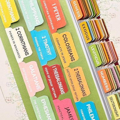 Bible Tabs with Delicate Cover 75 Tabs with Chapter Titles and ...