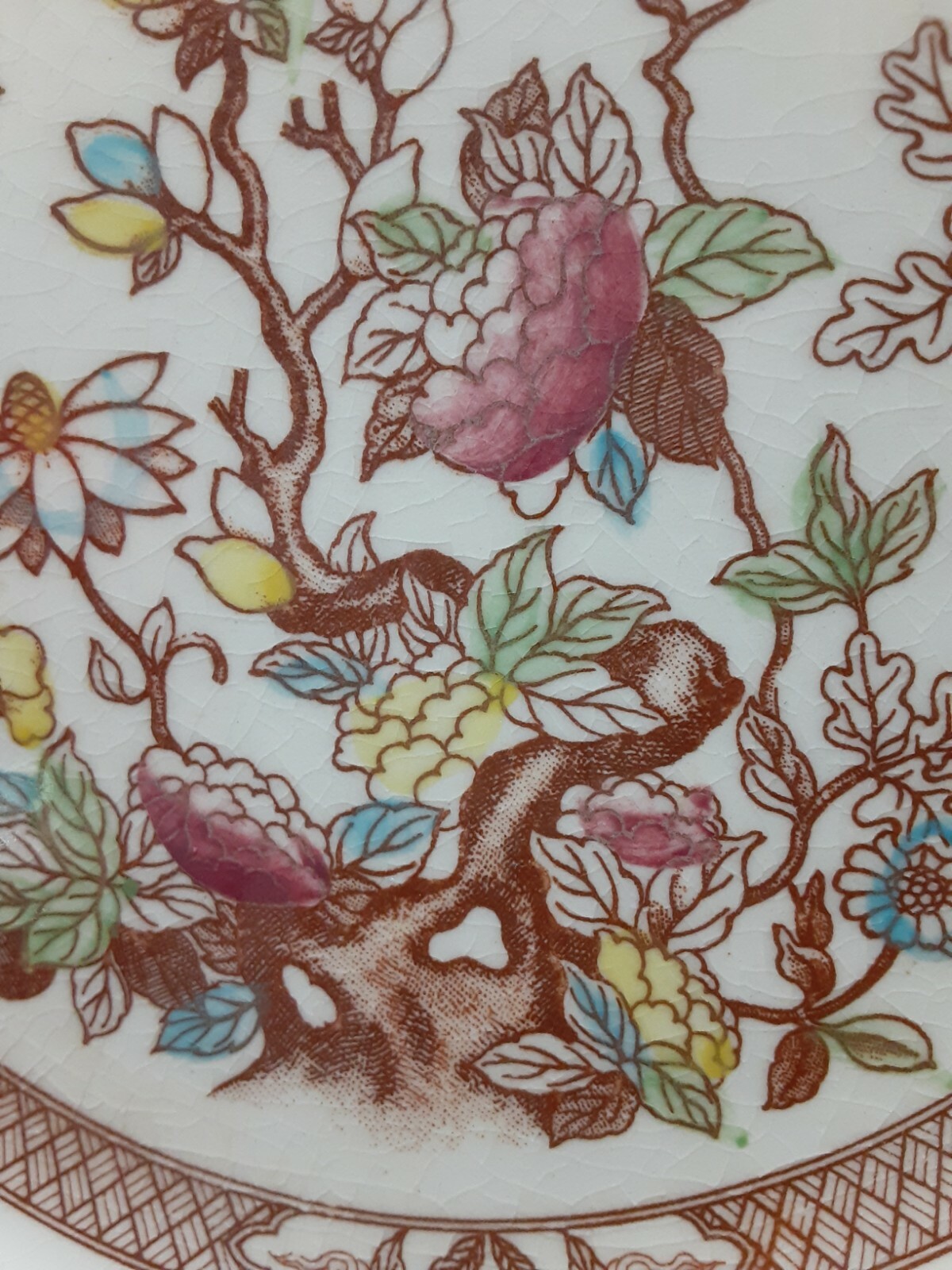 Vintage Indian Tree Dinner Plate Multi-color 10 1/2" Maruta Japan Earth ...