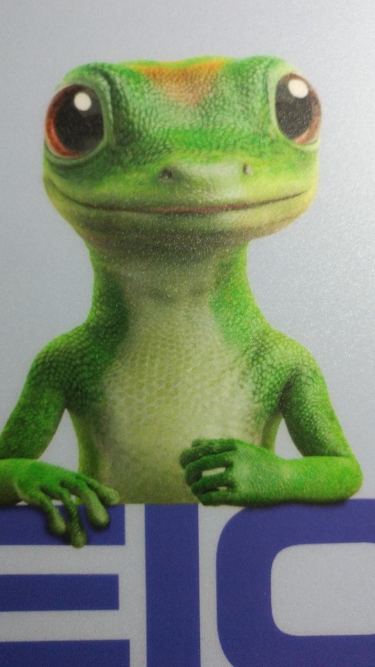 GEICO GECKO SKINWARE PROTECTIVE SHEILD FOR COMPUTER NEW | eBay