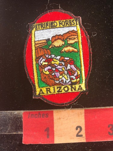 Arizona PETRIFIED FOREST National Park Patch 03WQ | eBay