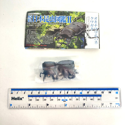 Yujin Insects in Japan 2 Figure Japanese Rhinoceros Beetle Neolucanus ...