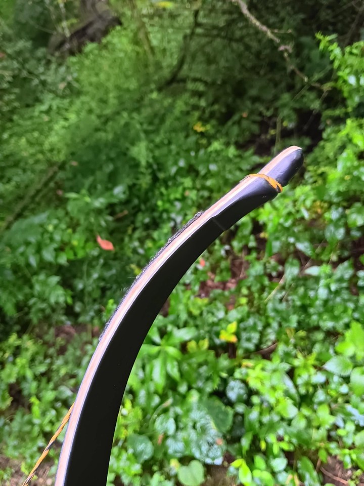 Martin Recurve Bow | eBay