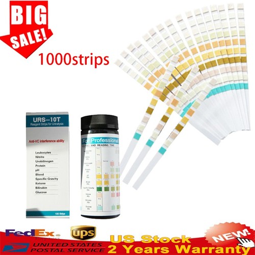 1000pcs Medical Urine Test Strips URS-10T Urinalysis Reagent Strips | eBay
