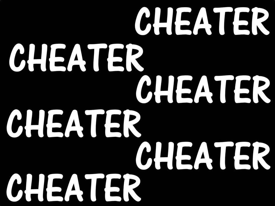 Cheater Decal Sticker for Car Window | eBay
