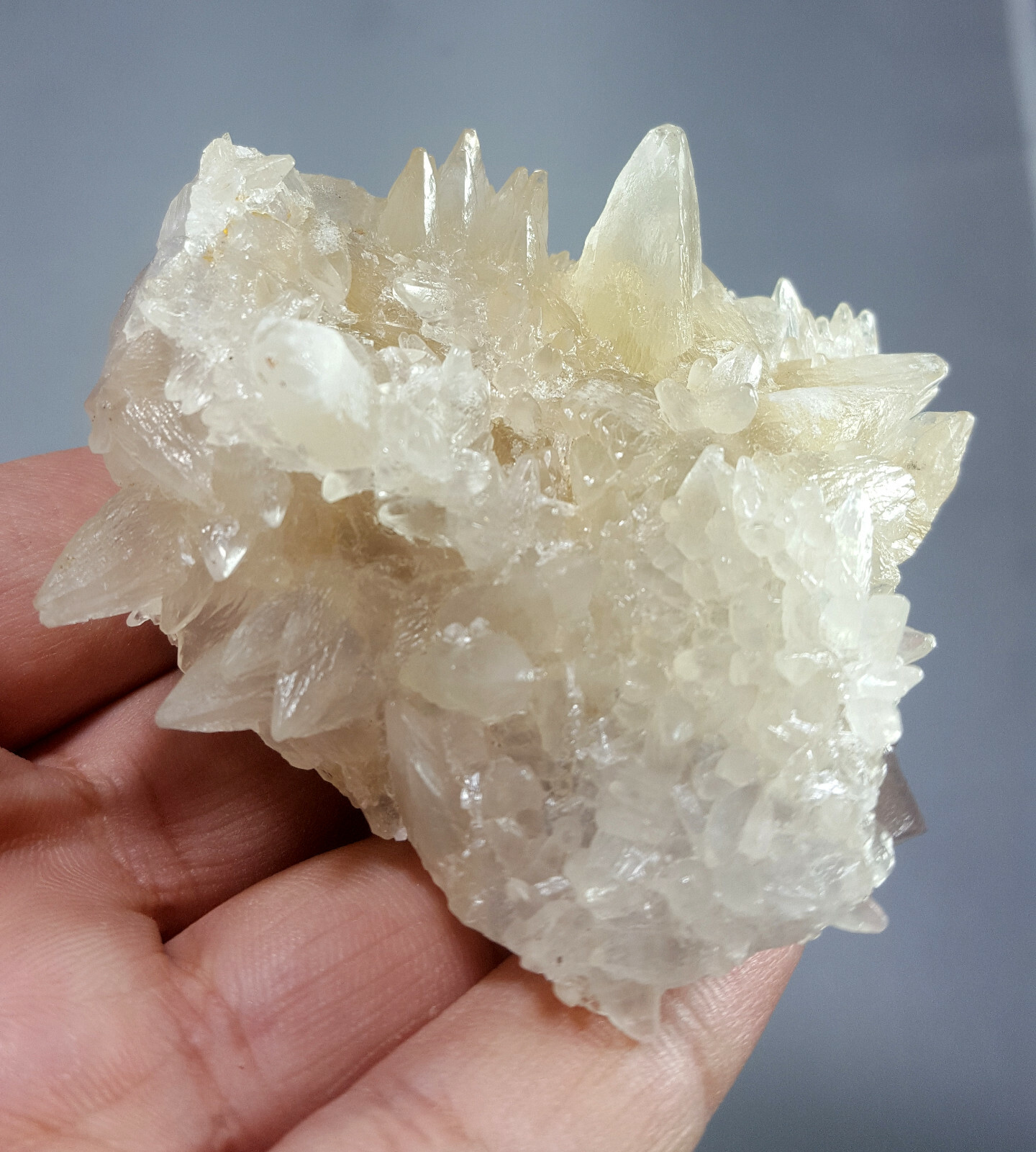 Natural Dog Tooth Calcite Clusters Crystal Specimens Lot 12Pcs 4.7kg | eBay