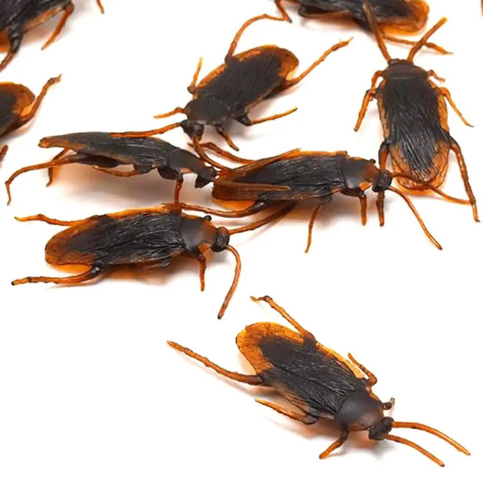 40 Prank Cockroaches Realistic Cock Roach Rubber Fake Creepy Bugs Gag ...