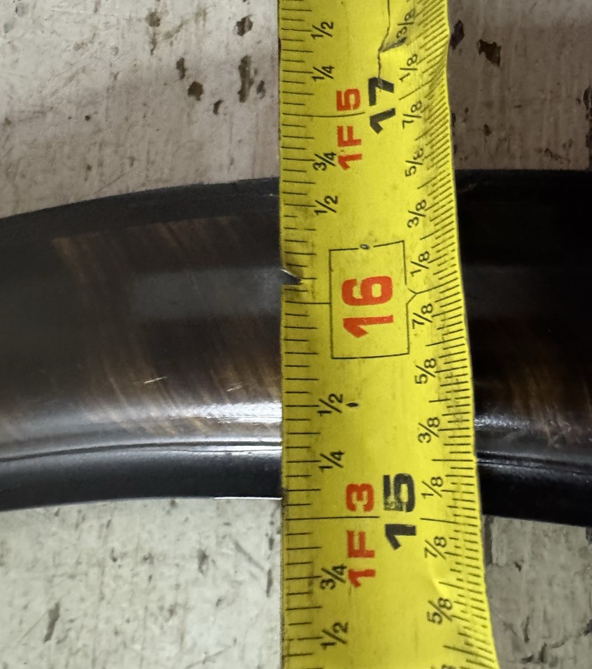 Antique Victorian Art Deco Oval Picture Frame Convex Bubble Glass Tiger ...