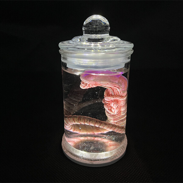Alien Jar Xenomorph Specimen Facehugger Embryo Glass Jar Movie Prop ...