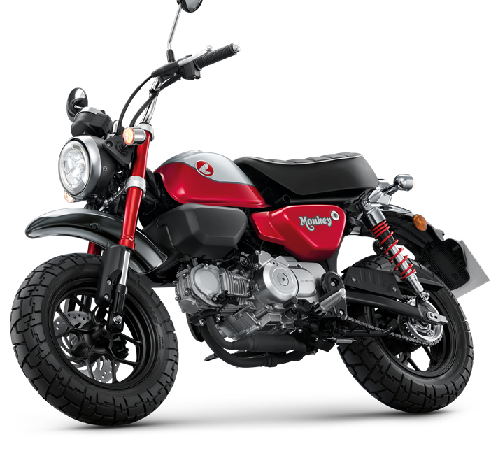 Honda Trail CT125 Dax Monkey 125 JB02 JB03 JB04 JA55 JA66 Revolution ...