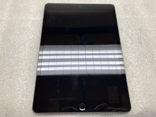 Apple iPad 10.2" (7th Gen) (A2200) WiFi + Cellular Space Gray 32GB | eBay