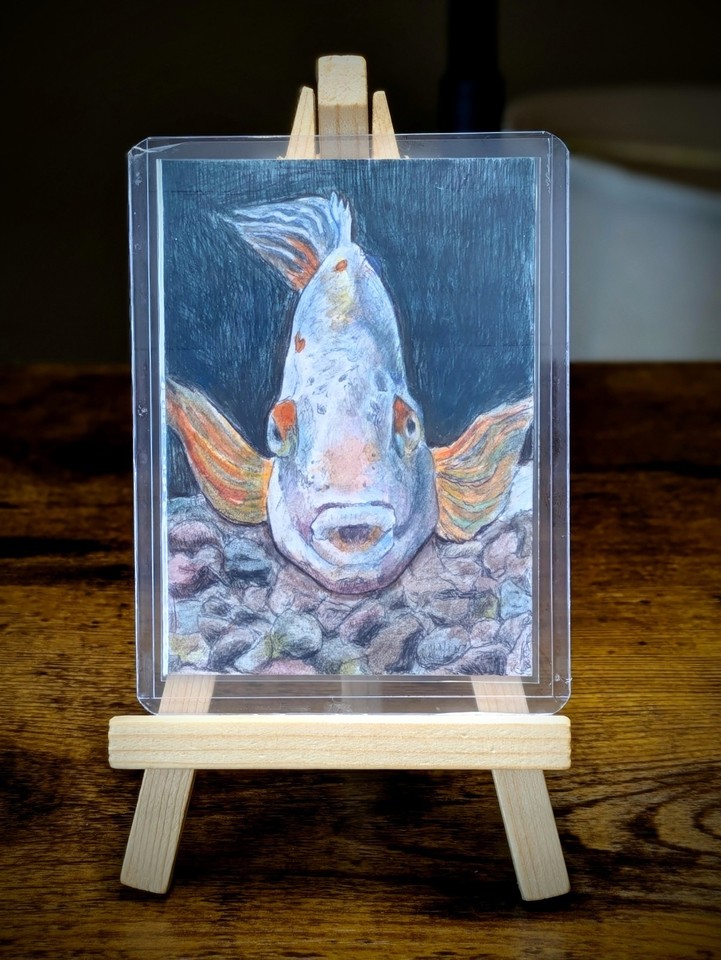 Aghast Agatha Fish ACEO Drawing by ellemeno3 Pen & Watercolor ACEO ...