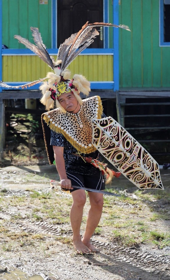 DAYAK RITUAL SHAMANS SHIELD, WOOD 1900S 39" PROV | eBay
