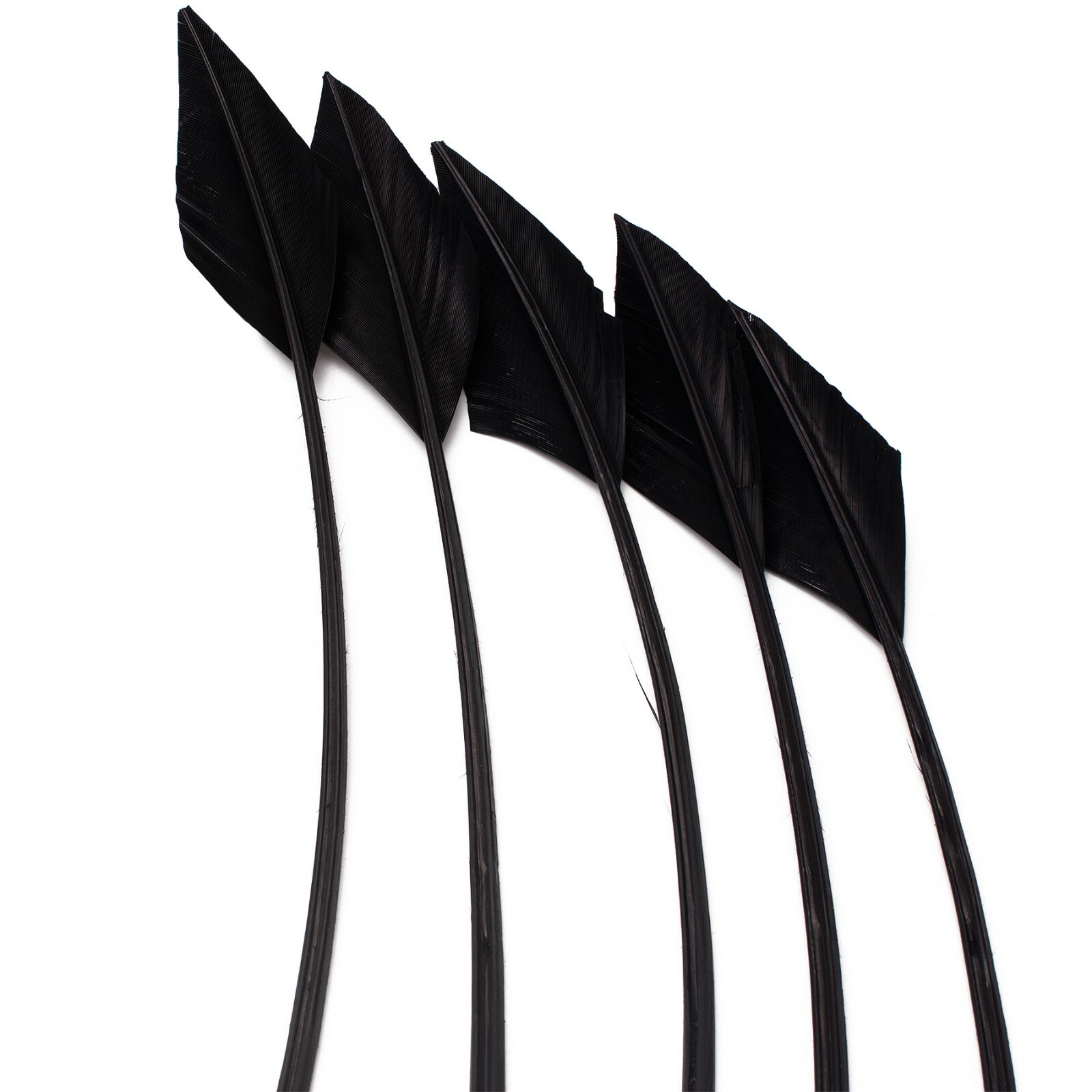 5pcs Arrowhead Turkey Quill Feather singles Millinery Hats Fascinator ...