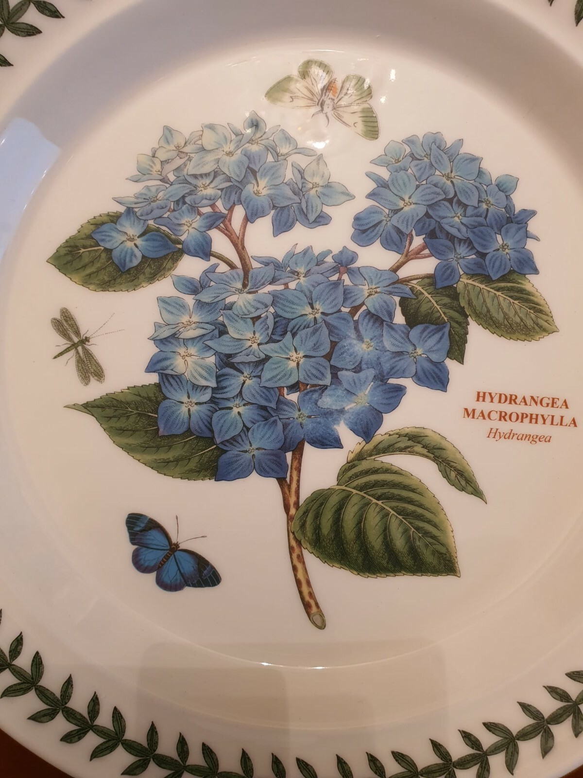 Portmeirion Botanic Garden 10 inch Dinner Plate Hydrangea | eBay UK