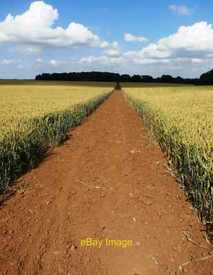 Photo 6x4 Bridleway, Wheat Field and Woodland Gildingwells This path ...