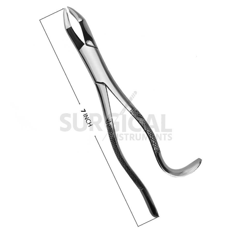 Extracting Forceps Dental Surgical Instruments #10H Stainless Steel ...