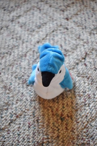 ty Beanie Baby Blue Jay Rocket | eBay