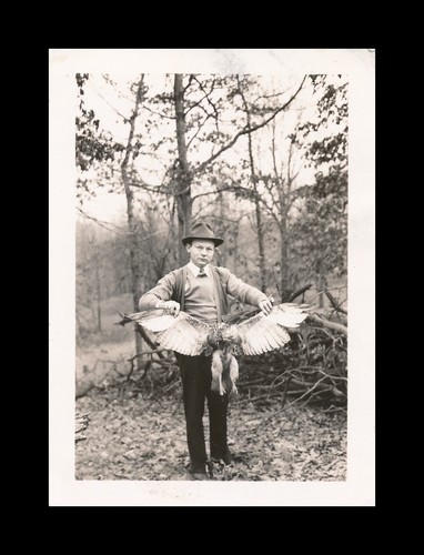 Man Spreads Wings of Dead Hawk in the Woods Postmortem Vintage Snapshot ...