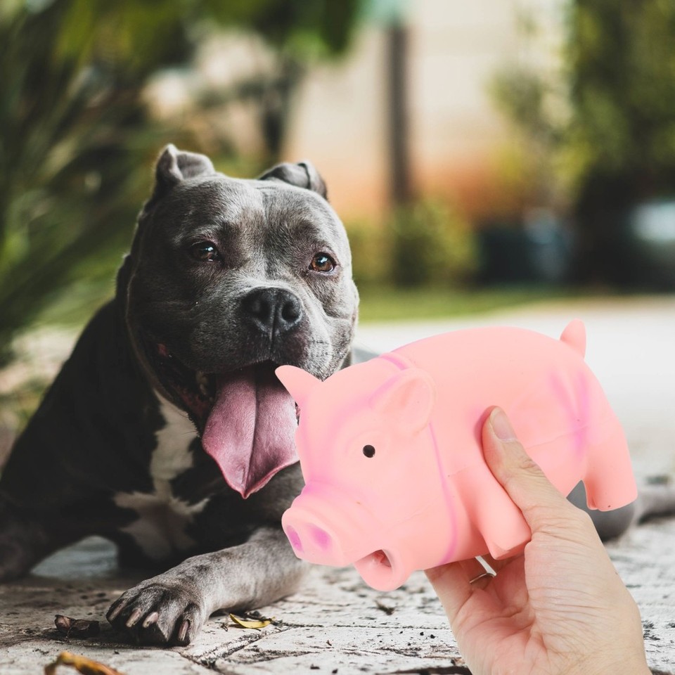 Pig Shape Latex Dog Chew Toy Squeaky Pet Toy for Small And Medium Dogs ...