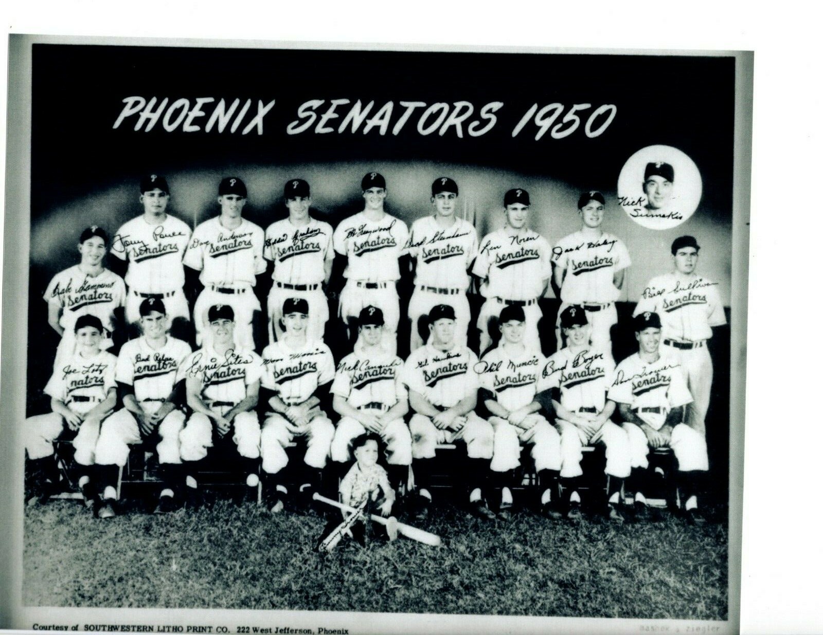 1950 PHOENIX SENATORS TEAM 8X10 PHOTO BASEBALL ARIZONA | eBay