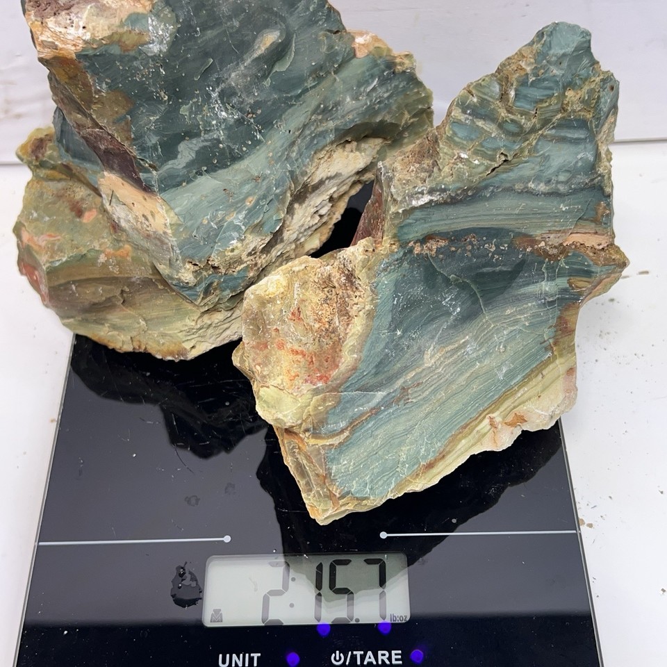 2lb 15oz Gary Green Jasper, Larsonite, Caldera Lapidary Rough For ...