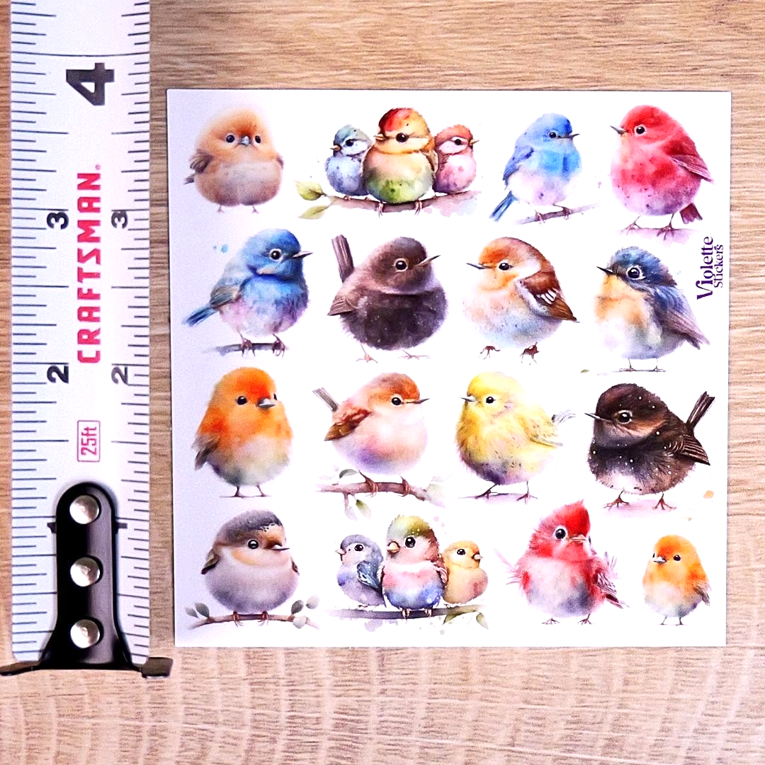 Violette Stickers - Chubby Baby Birds - Bird & Nature Sticker Sheet ...