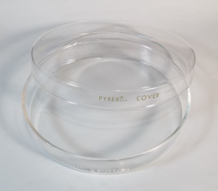 Pyrex Glass 150 mm x 25 mm Petri Dish Top and Bottom | eBay
